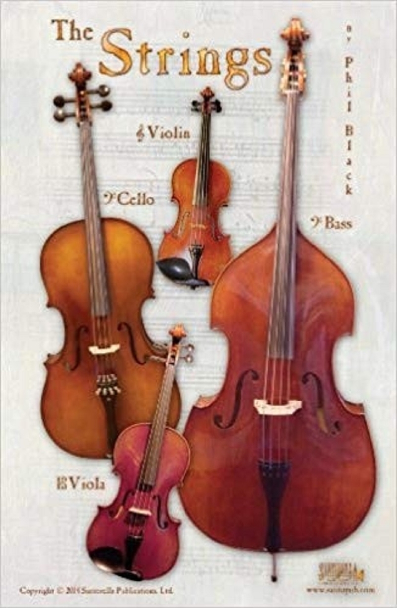 Poster The Strings (Cello, violin, bass, viola) - Poster As cordas ...