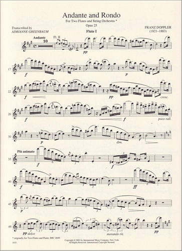 Andante And Rondo For Two Flutes And String Orchestra (Partitura E ...