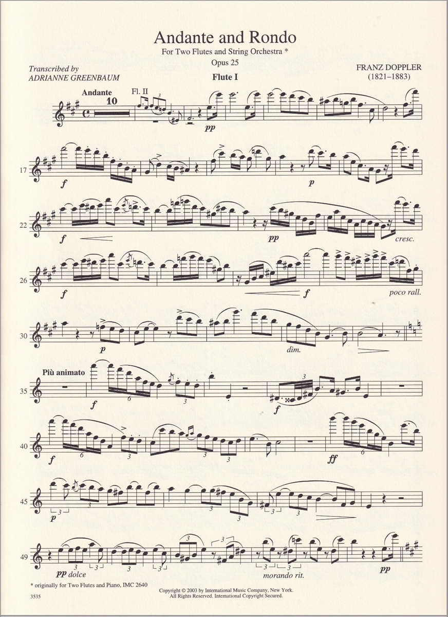 Andante And Rondo For Two Flutes And String Orchestra (Partitura E ...