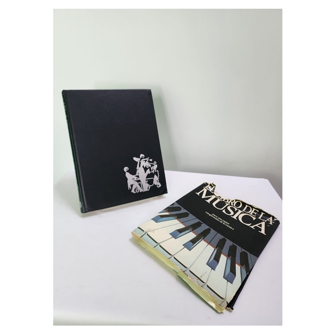 O livro de música: para uma melhor compreensão da música - El libro de ...