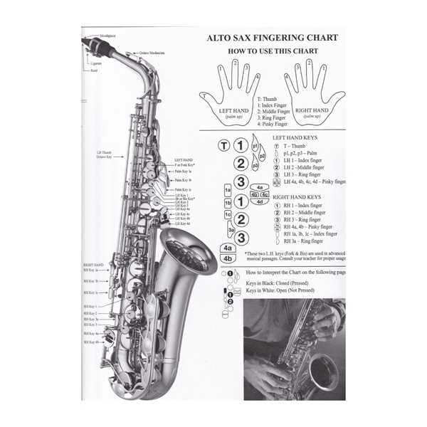 Basic Fingering Chart for Alto Sax tabela de dedilhado sax gráfico de ...
